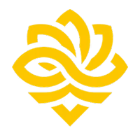 Legacy - Counter-Strike (CS2). Ближайшие матчи, состав, статистика ...